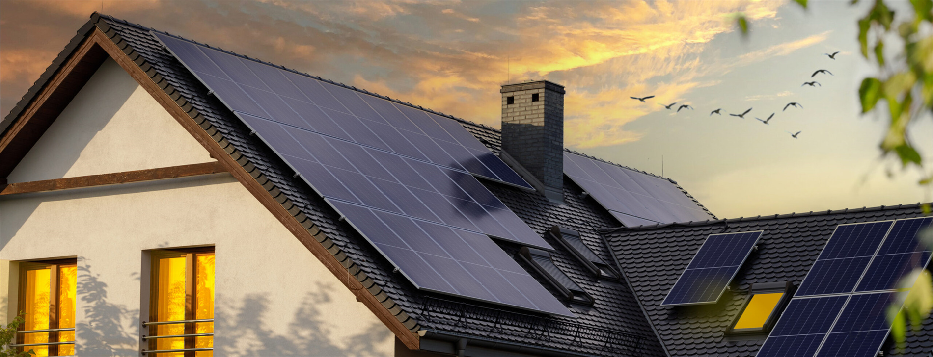 Apex Solar: The Game-Changer in Renewable Energy! - APEX Solar丨European ...